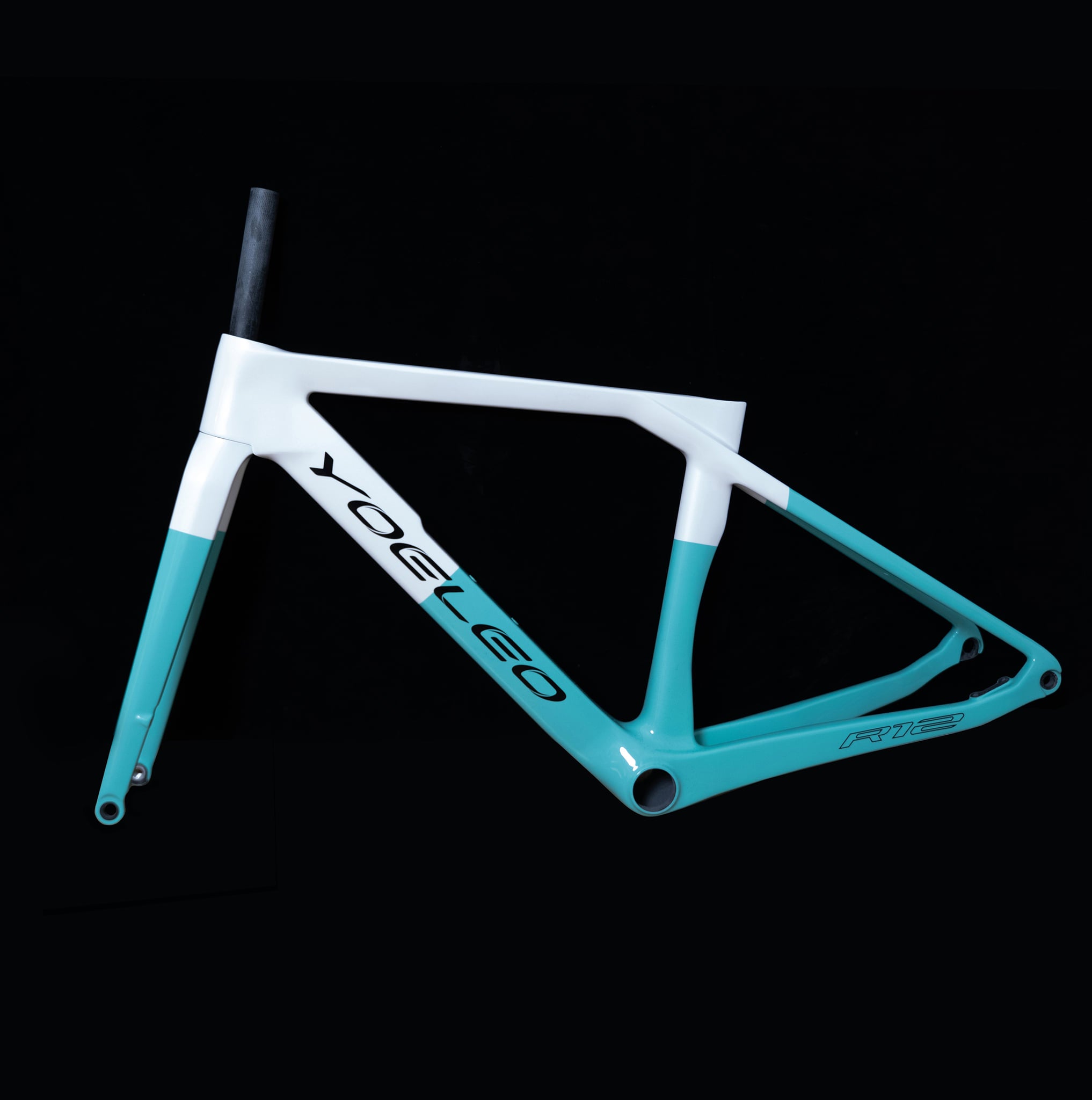 CUSTOM PROGRAM – Tag – Yoeleo Canada