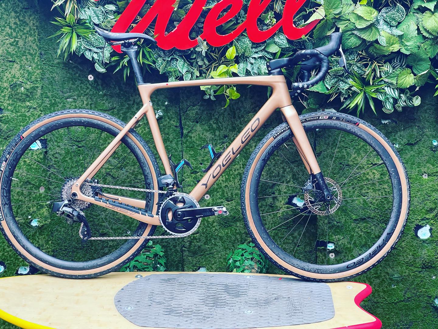 G21 Frame – Yoeleo Canada